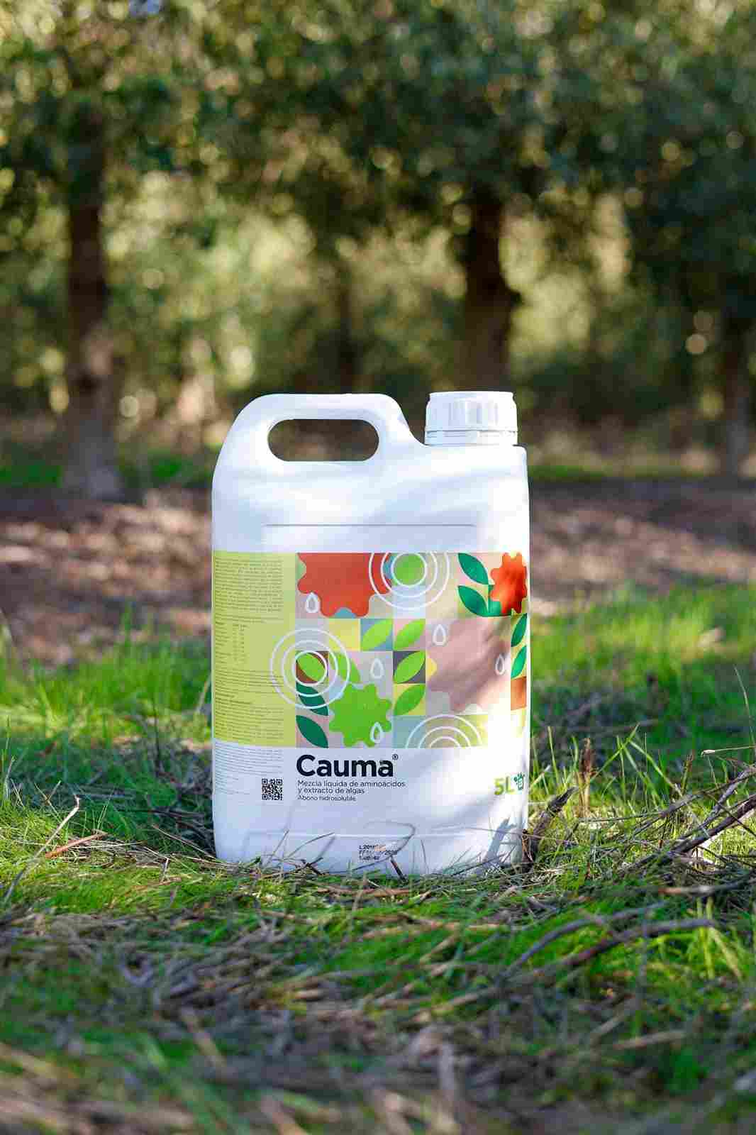 Cauma